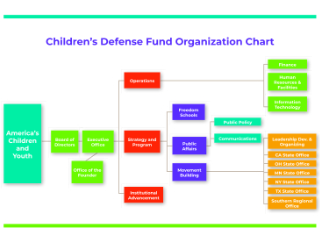 Organizational Strategy - Children's Defense Fund